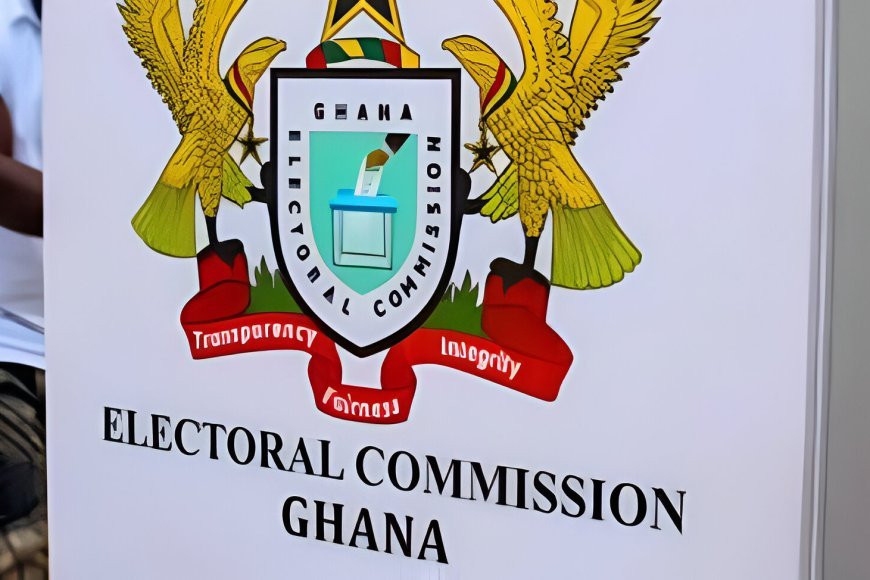 EC Releases Provisional Ballot Statistics For 2024 Elections - The Hub Web