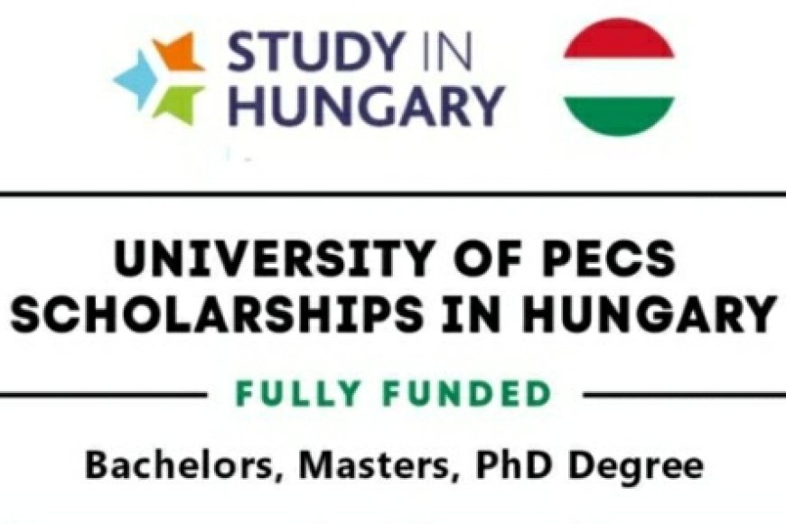 The University of Pecs is Offering Fully Funded Scholarships to ...