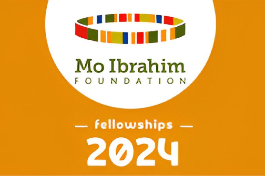 Applications Open for the Mo Ibrahim Leadership Fellowship 2025 – Apply ...