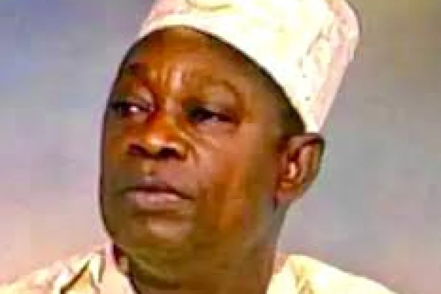 MKO Abiola's Paternity Claims: 66 "Children" Fail DNA Tests, Son ...