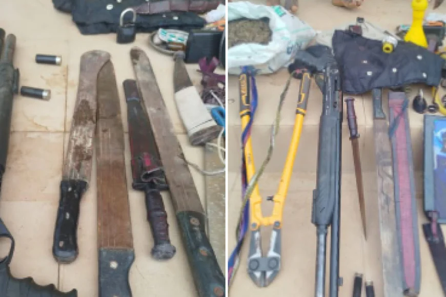 Niger Police Arrest 24 for Thuggery, Armed Robbery in Minna - The Hub Web